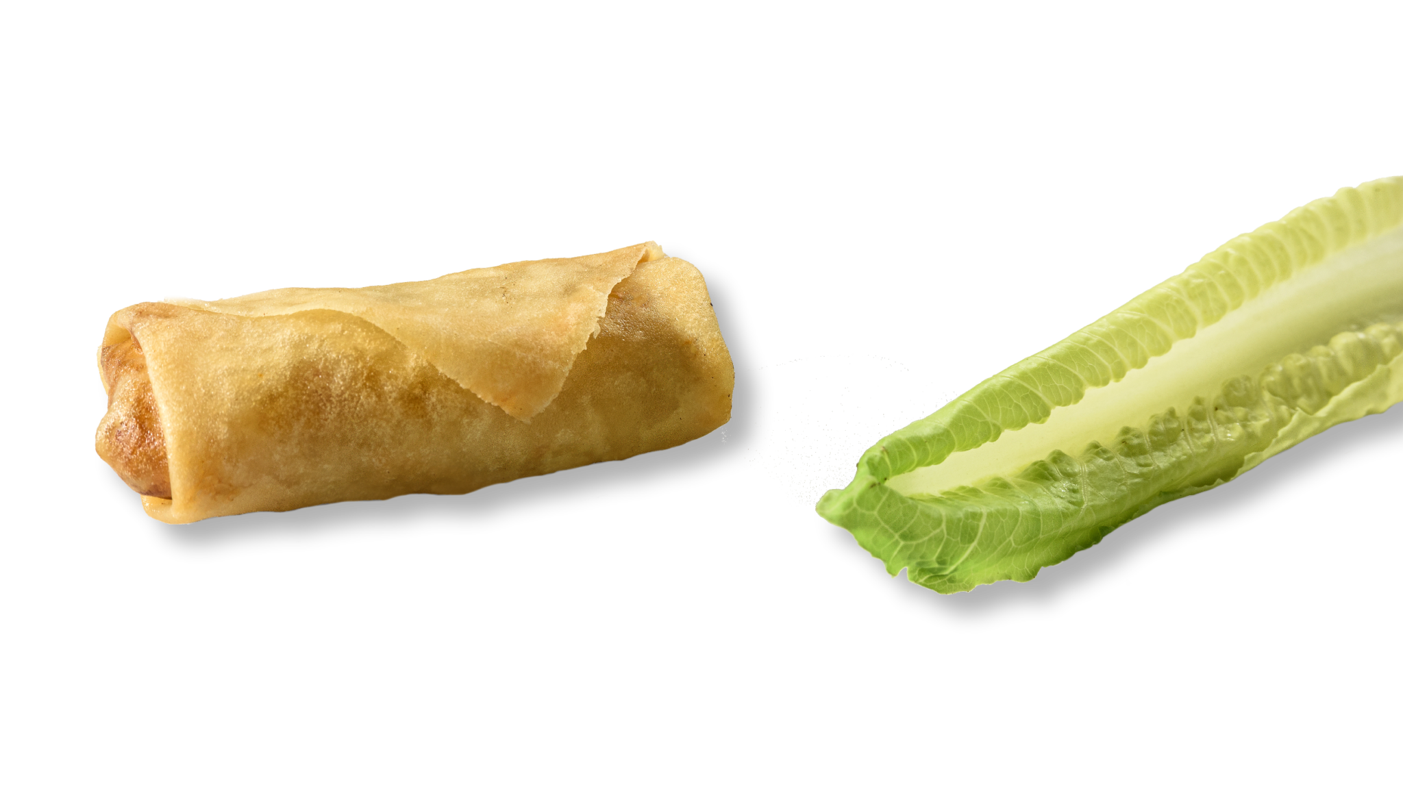 Vegetarische Loempia – Thanh Long